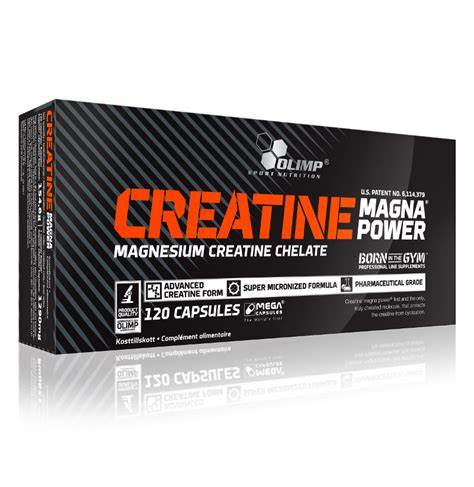 CREATINE MAGNA POWER - Profitness la Boutique en ligne
