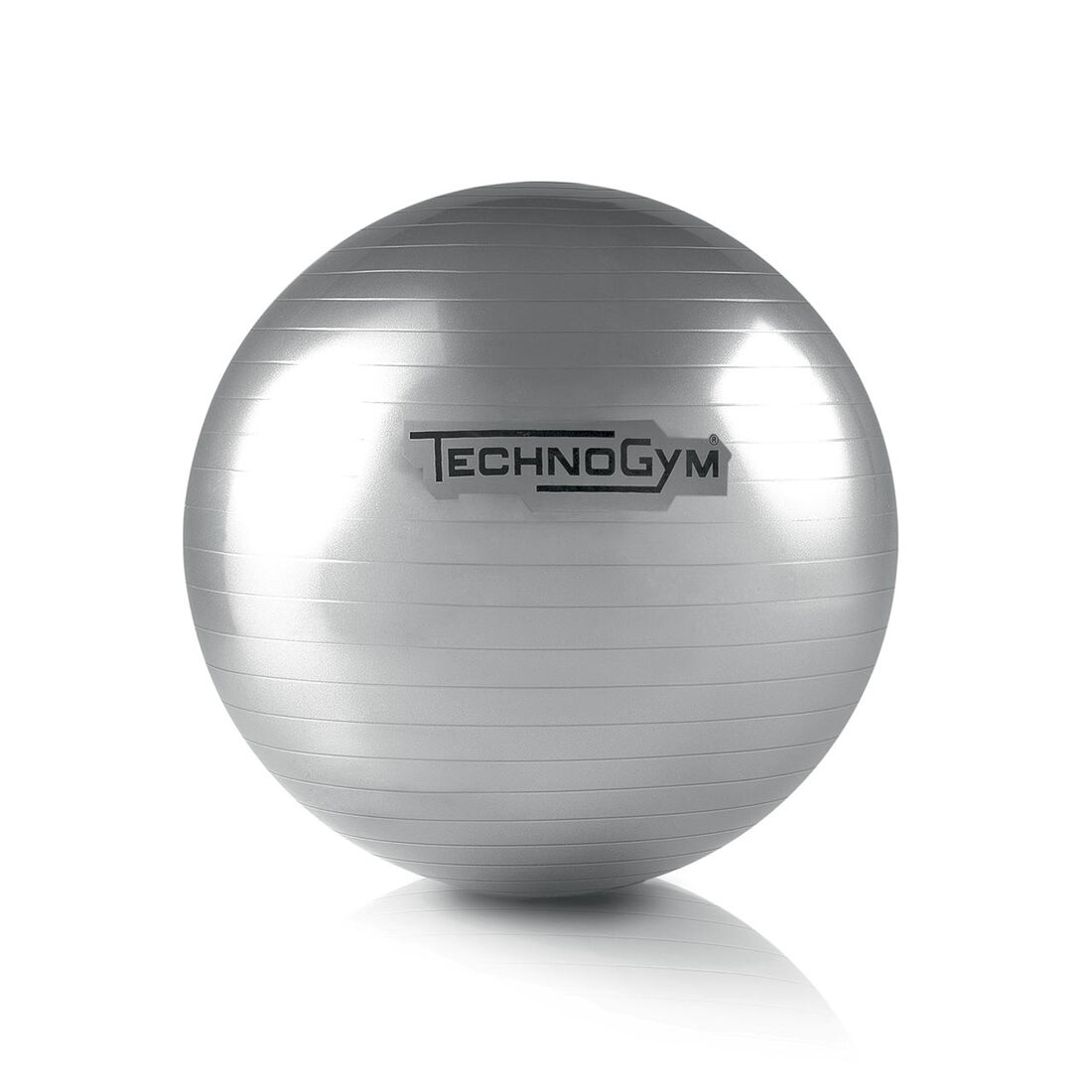WELLNESS BALL HOME TRAINING - Profitness la Boutique en ligne